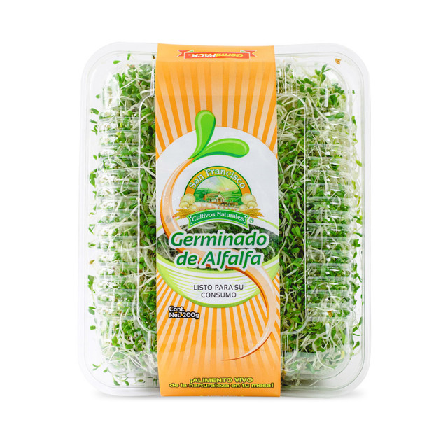Brotes de Alfalfa (pz) | Innova Groceries